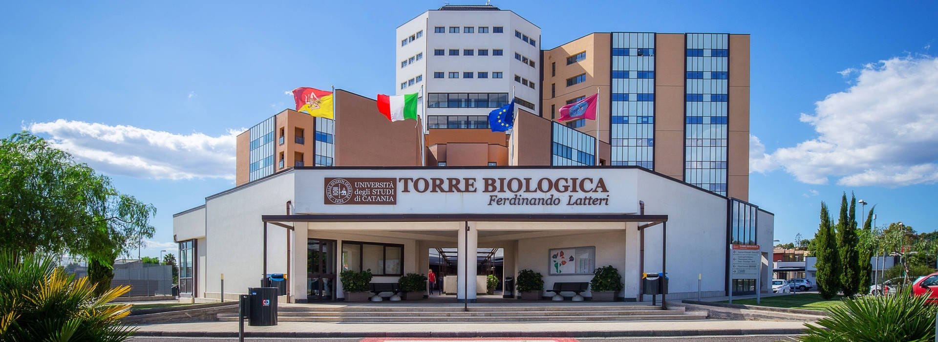 CORESTA Congress 2024 - CoEHAR